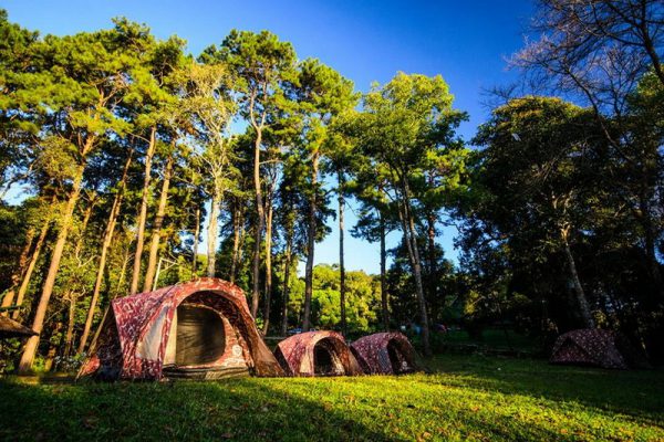 Doi Suthep-Pui National Park : A Complete Guide