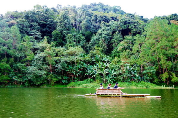 Pang Ung Experience Serenity in Northern Thailand